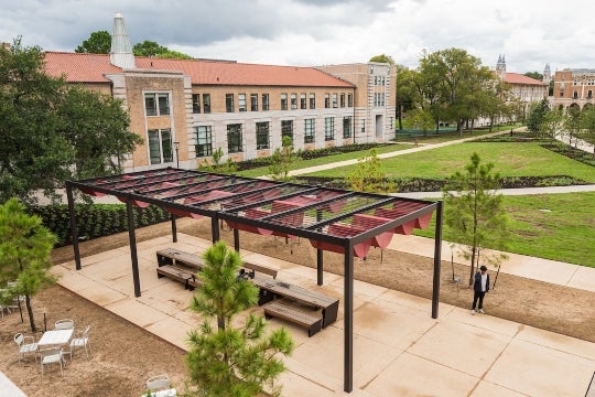 Native plants and trees add character, color to Rice quad | Rice News | News and Media Relations ...